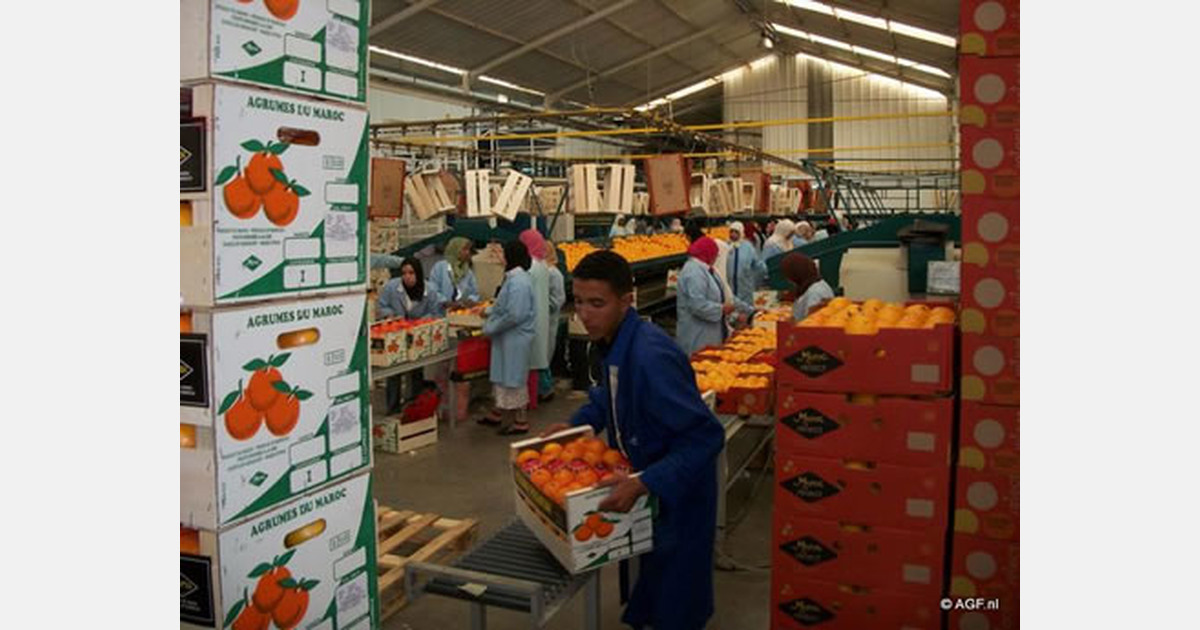 "Good demand Maroc Late"