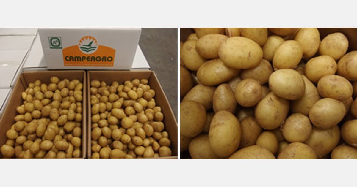 EU: New imported potatoes meeting a need