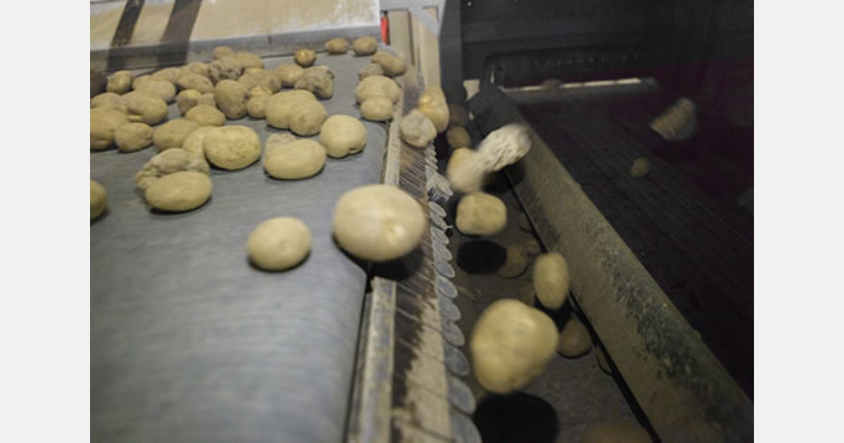 Stone and clump divider with unique working principle