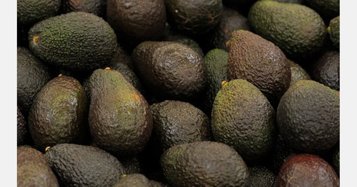 Europe: Avocado prices high, supply low