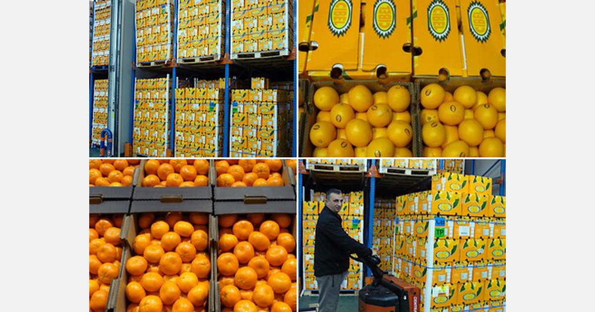 "Large volumes of South African citrus still on their way"