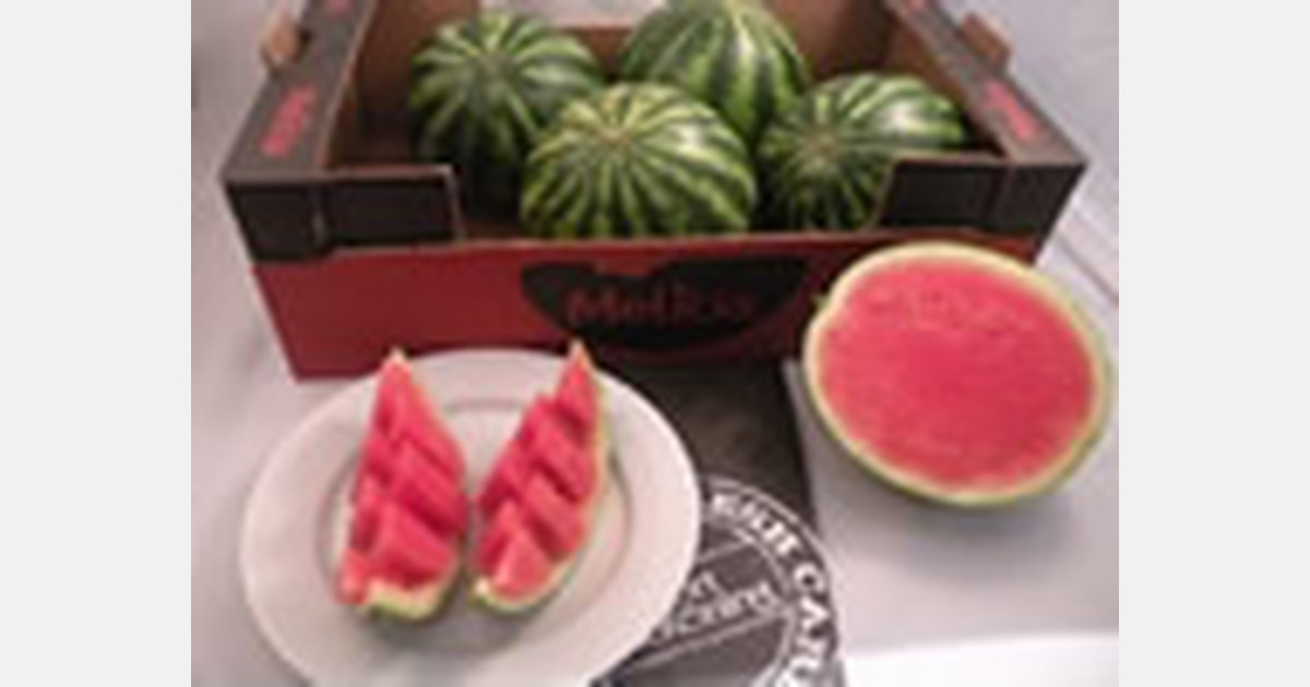 Trend seedless mini watermelons continues