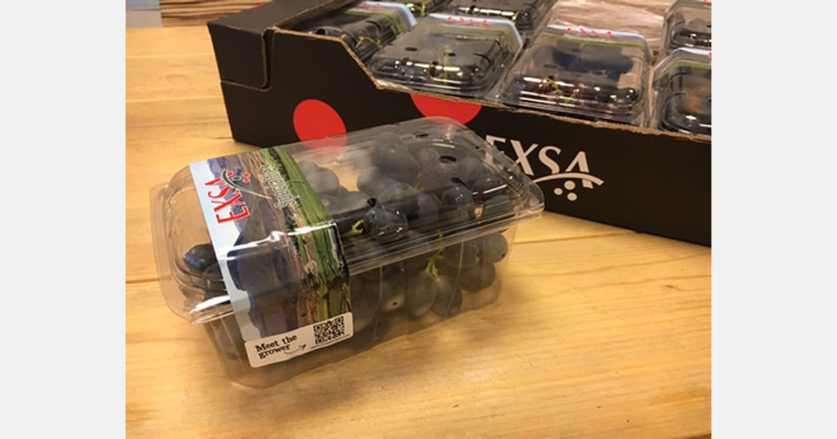 EXSA Europe introduces Speciality-line grapes