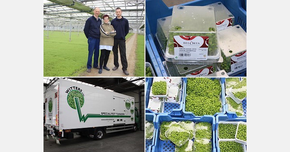 "Demand for cress has remained stable for years"