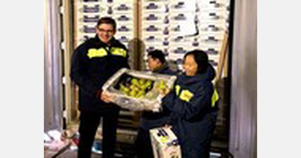 First Dutch Conference pears arrive in Vietnam