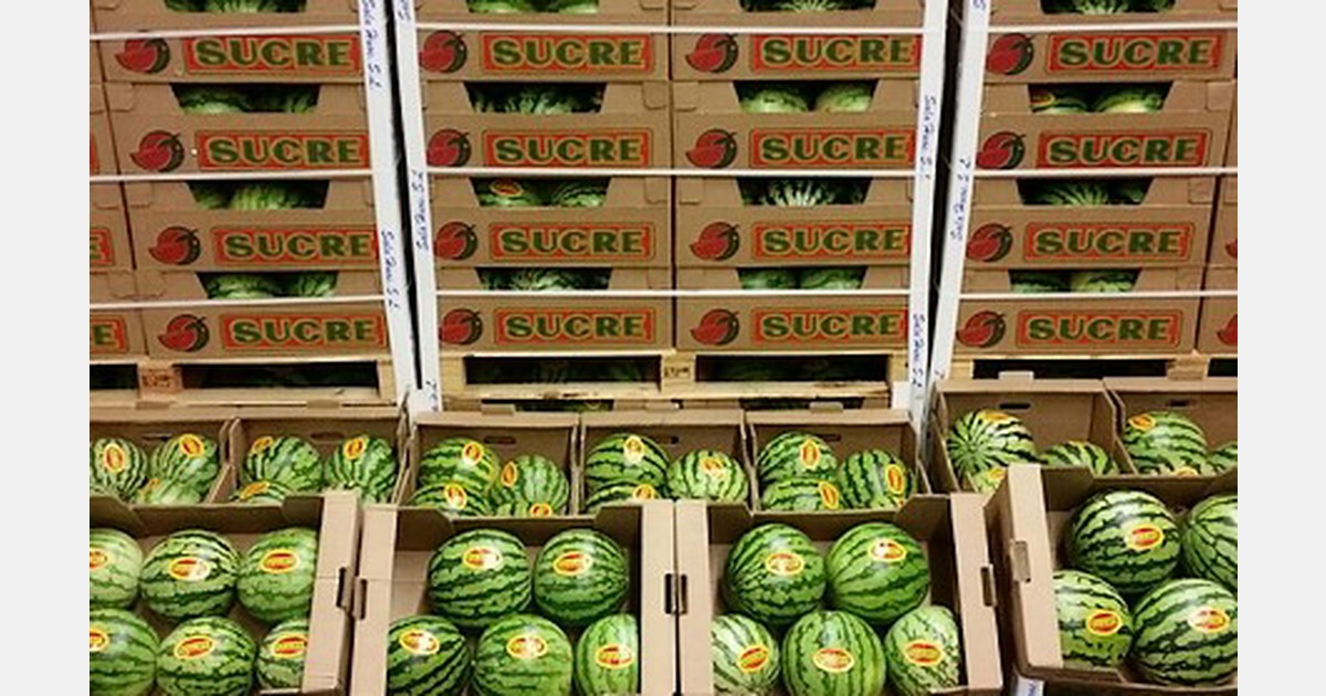 Watermelon prices high despite low consumption