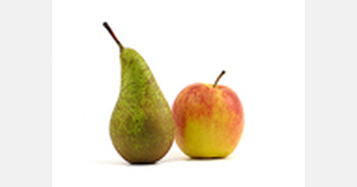 Belgian pear area approaching 10,000 hectares