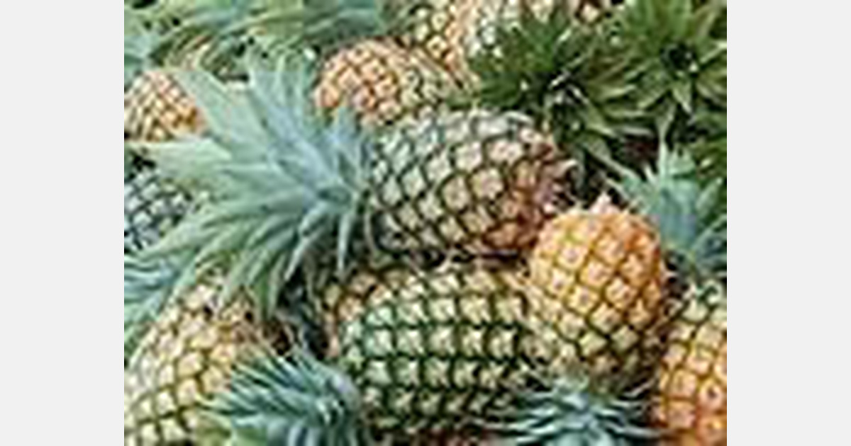 Pineapple crop protection agent possible cause of Parkinson's