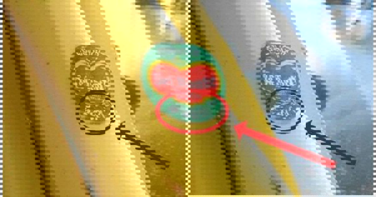 PLU codes: this is what the stickers on fruit and vegetables mean