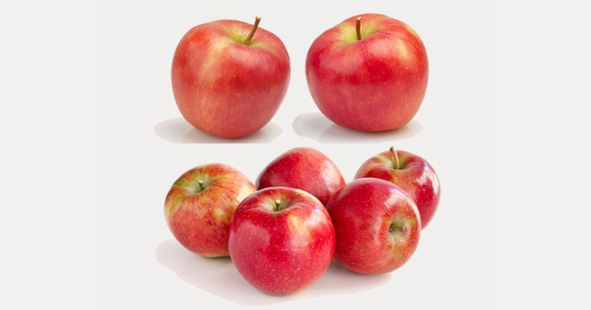 Belgian Colruyt Group and partners introduce two new apple varieties