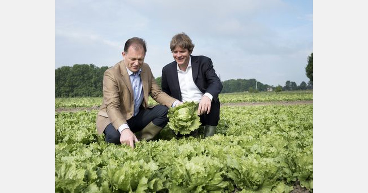 Dutch HAK steps into cooled products with takeover of Peter van Halder