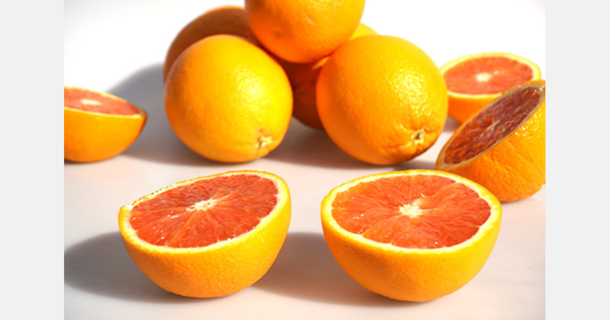 Ruby Valencia: An orange with the flavour and characteristics of grapefruit