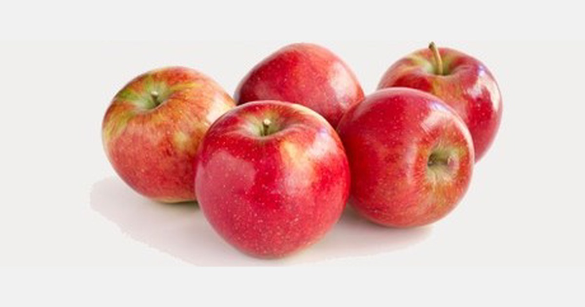 First Magic Star apples now available to a limited extent in Belgium