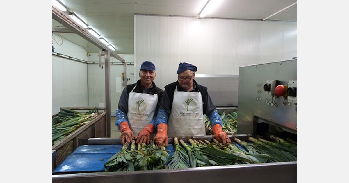 Code yellow for leeks