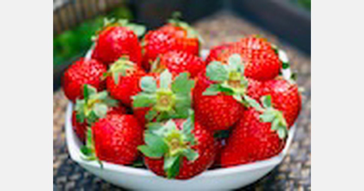 Chinese strawberry prices drop