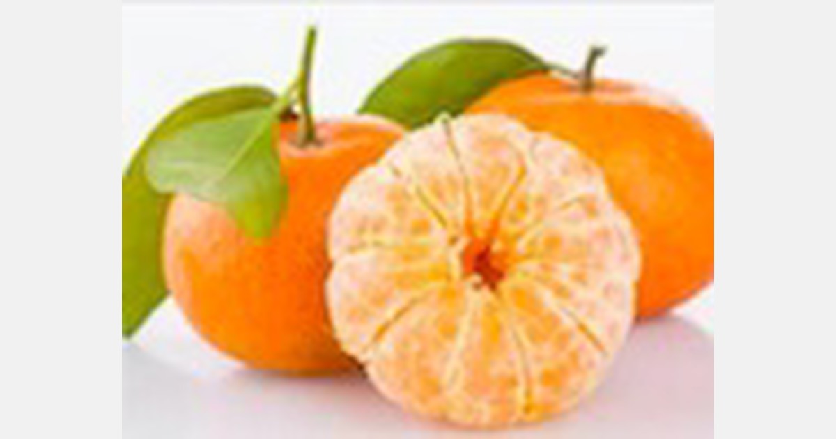 Chilean oranges hope to conquer Chinese market