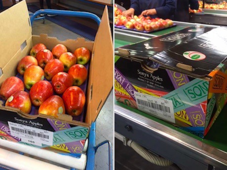 China: First shipment of Sonya apples will arrive in Shenzhen on April 28th