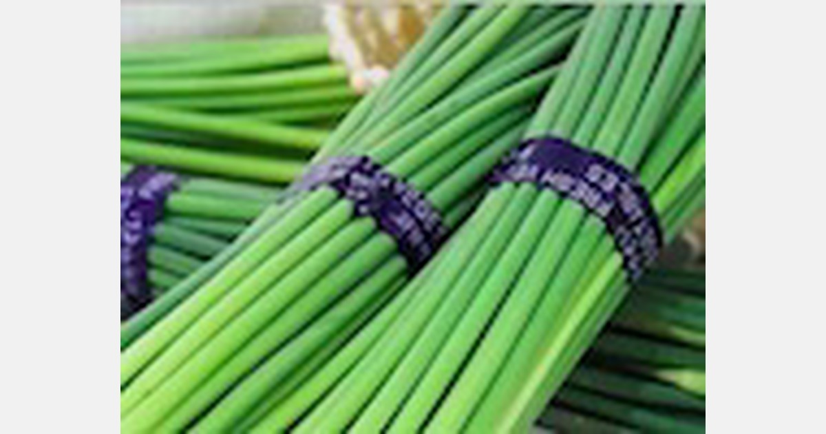 Fresh Chinese garlic shoots begin to enter Jinxiang Market