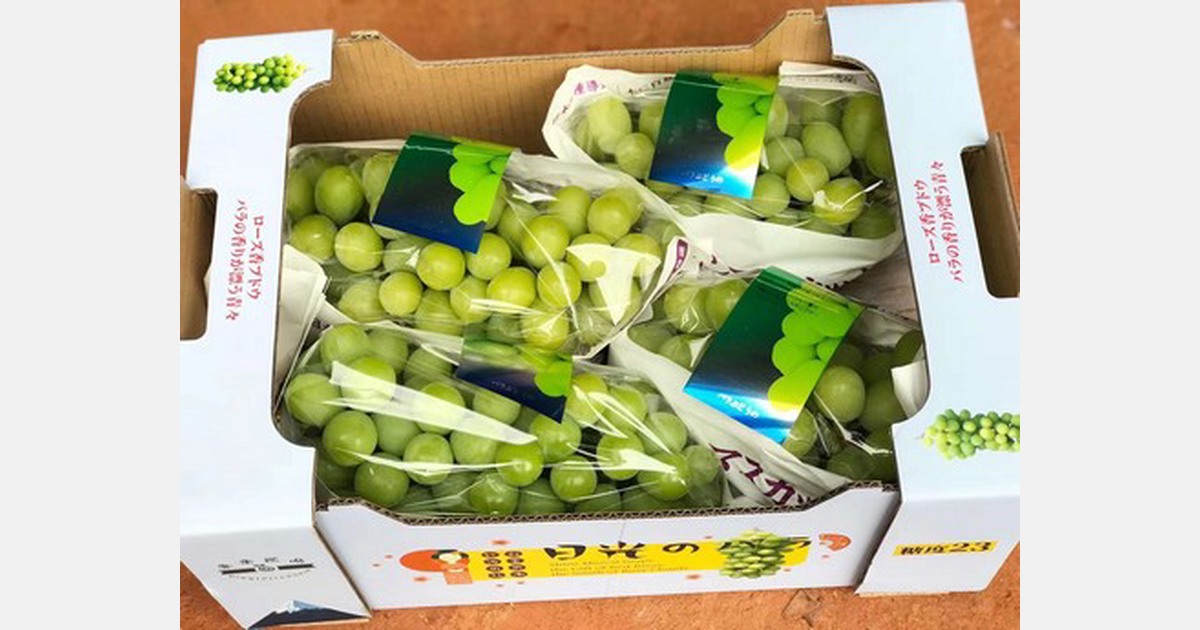 "Chinese market for Sunshine Rose grapes is as hot as ever"