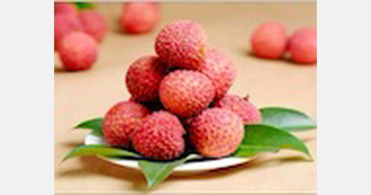 Haikou Meilan airport transported 2,135 tons of lychees