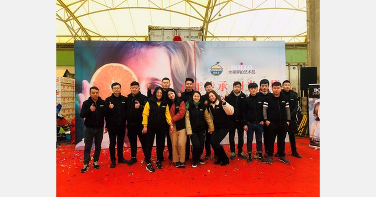 China: Spanish Bollo oranges enjoy best marketing opportunity