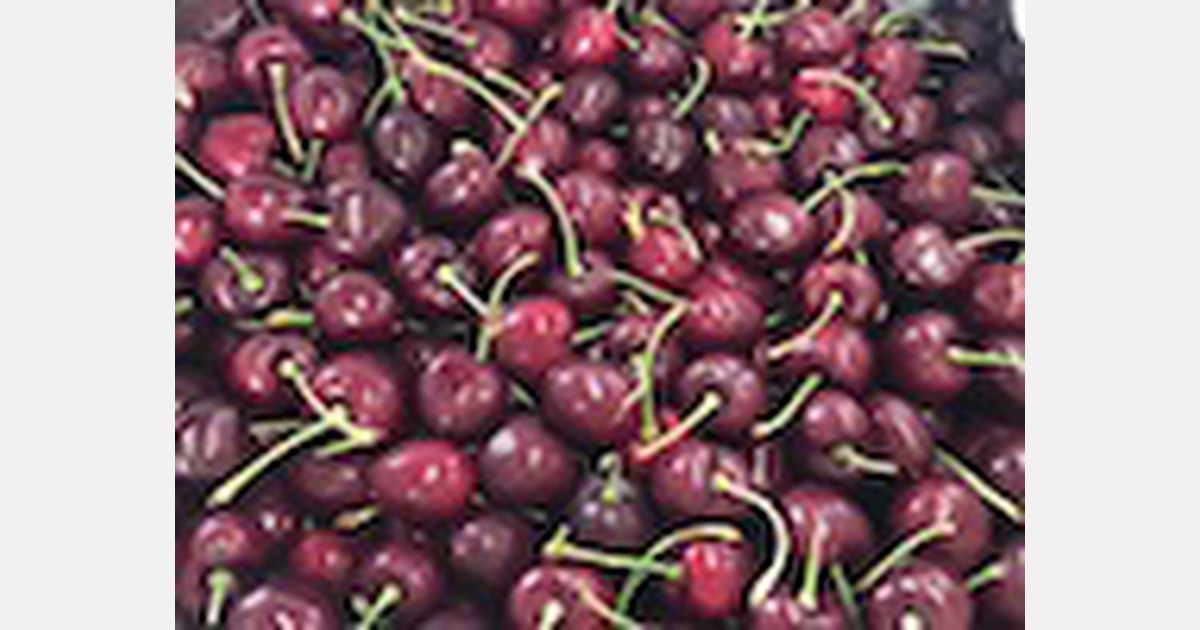 China: Prices of imported cherries continue to fall