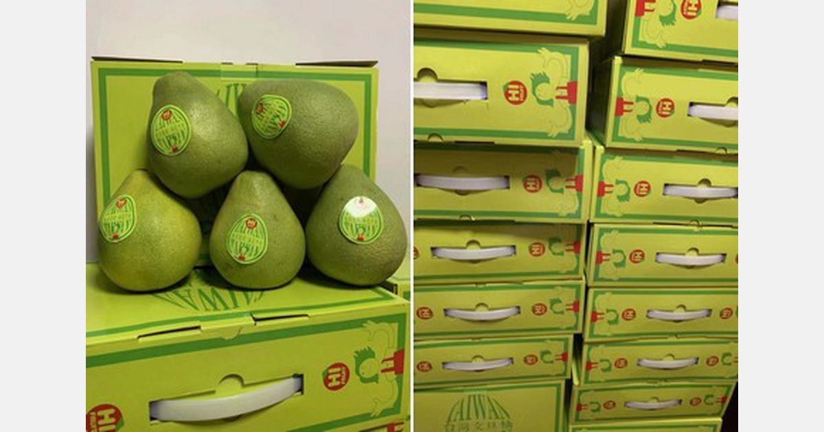 China: "Mid-autumn festival pomelo gift boxes"
