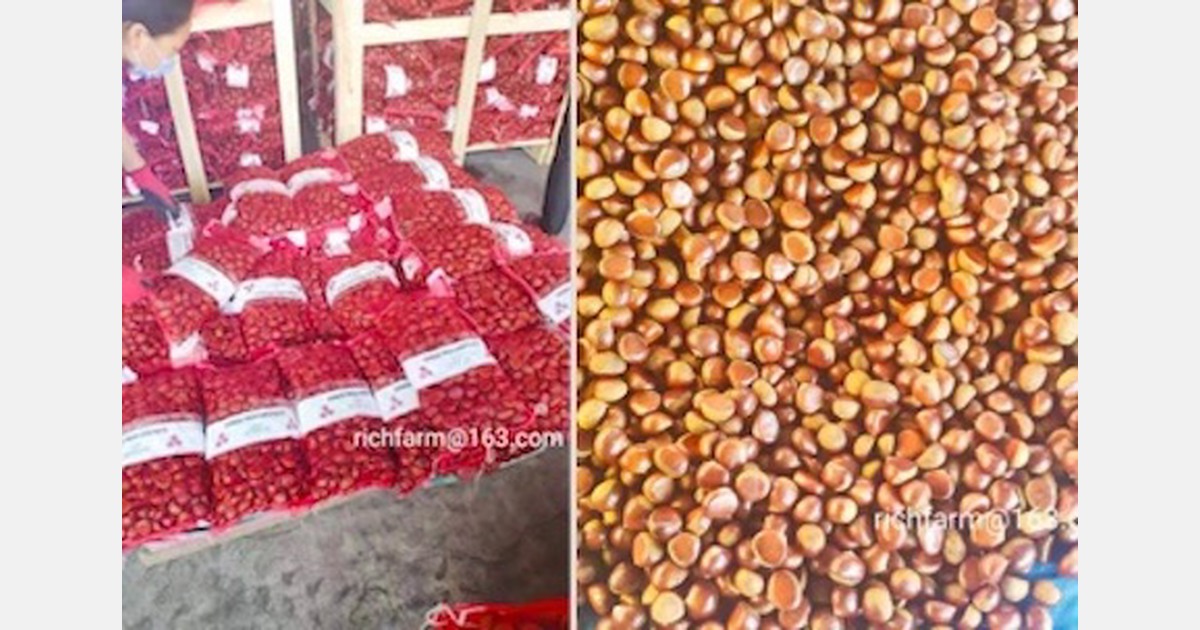 "This season's Chinese chestnut exports to Europe are declining"