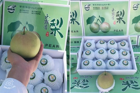 "Volumes of Chinese Autumn Moon pears grow but retail price remains stable"