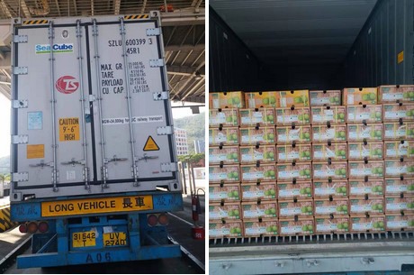 Hong Kong welcomes this season's first shipping container of cherries