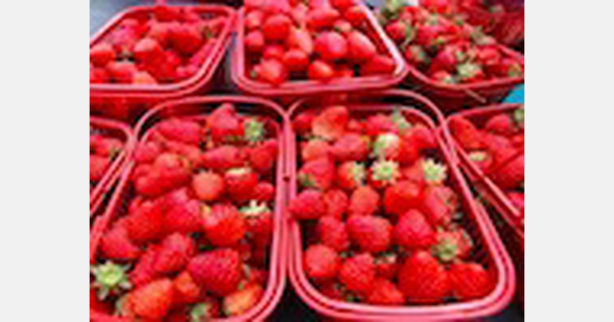 Chinese strawberries are quite a recent trend, but their price keeps ...