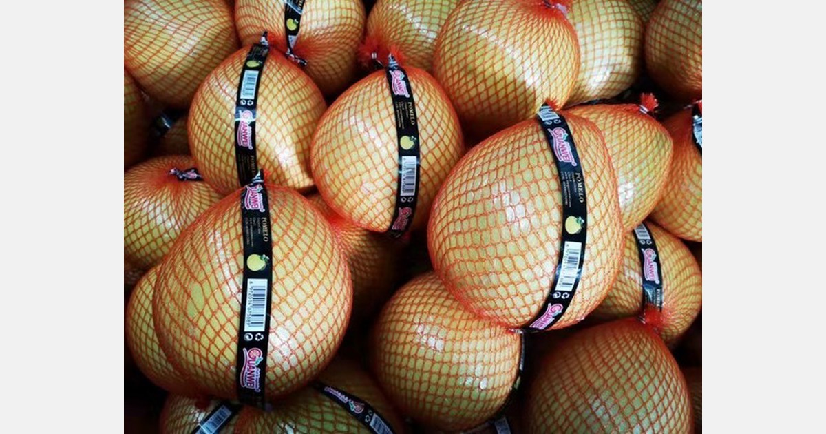 "Production volume of red honey pomelo has greatly increased"