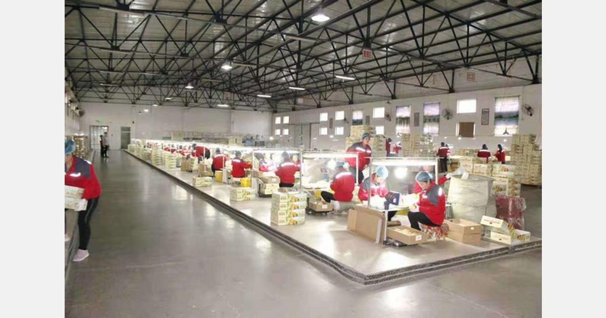 Chinese processors resume operations