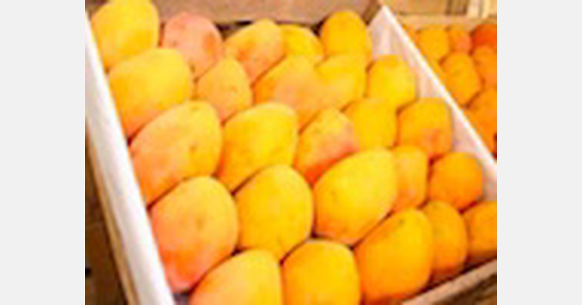 10,000 tons of mangos from Peru cannot be exported to China