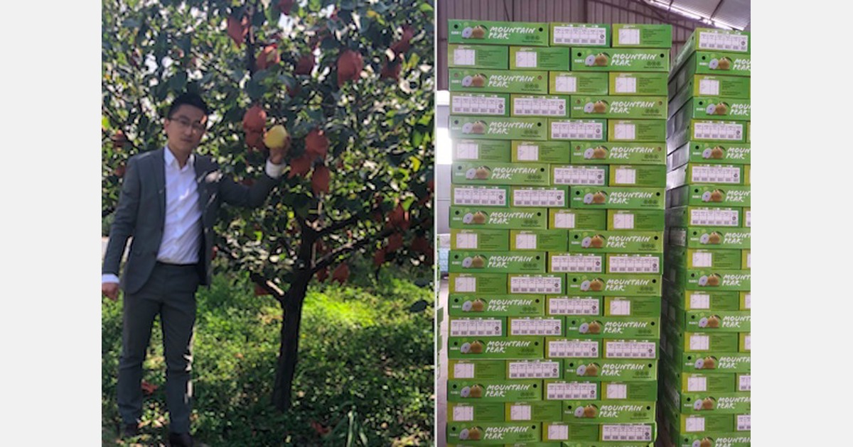 Mountain pear becoming a differentiated product in Europe