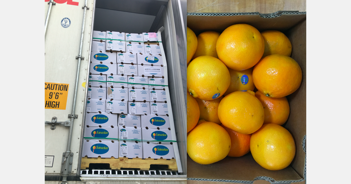 "Chinese imports of Australian tangerines got off to a difficult start ...