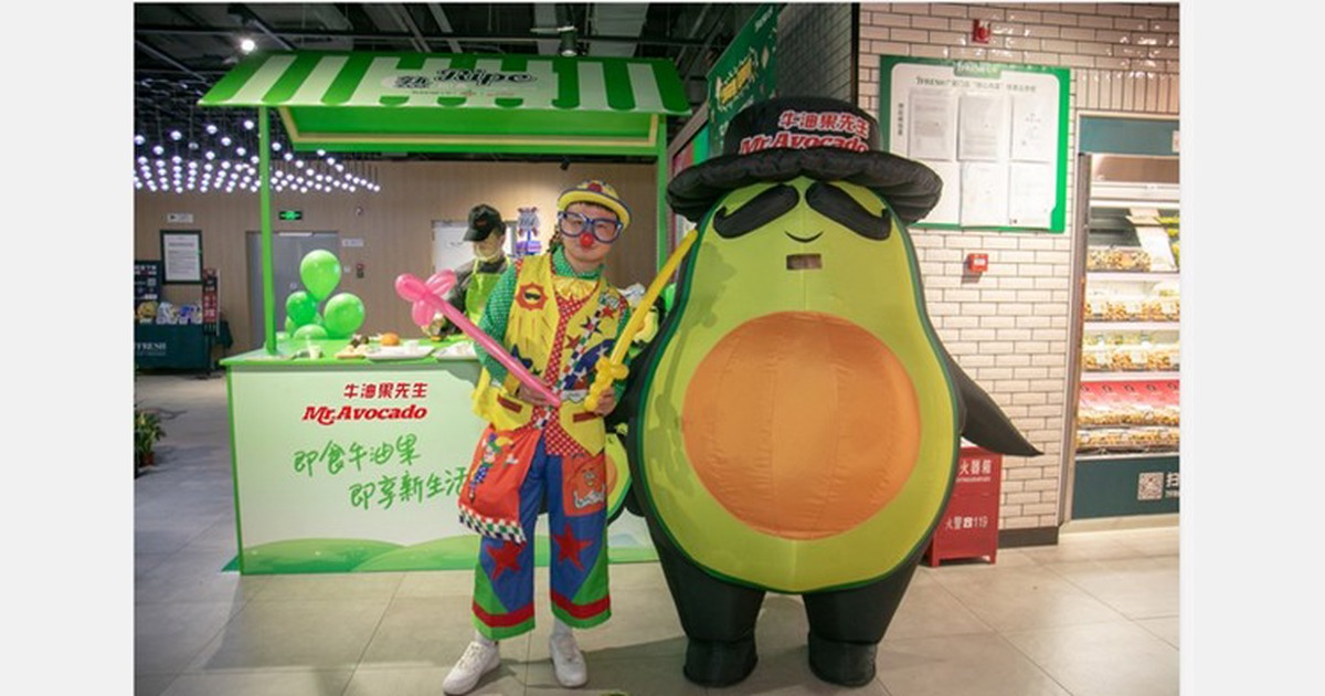 China successfully grows first Hass avocados in Yunnan