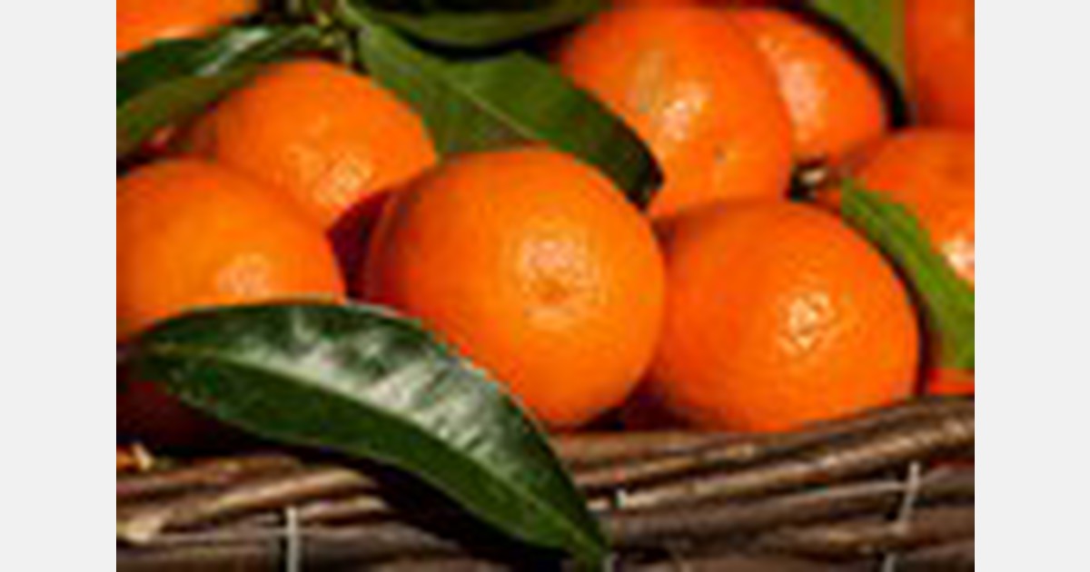 Market of imported citrus in China low in first two quarters