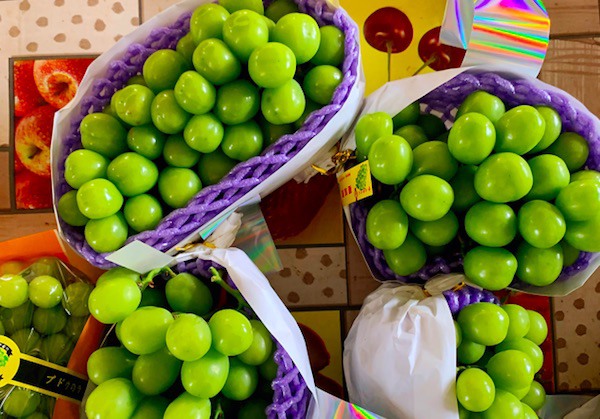 Sunshine Rose grapes from Yunnan are doing well in the Chinese market