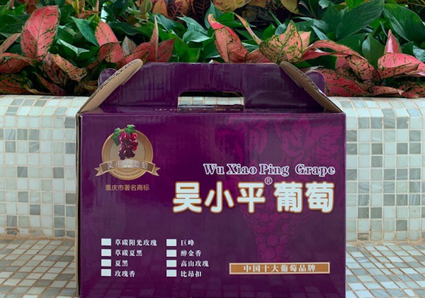 Sunshine Rose grapes from Yunnan are doing well in the Chinese market