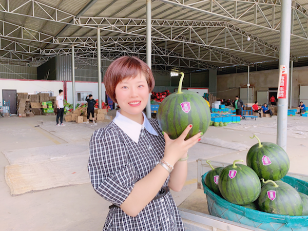 Green Tiger watermelons sell well in the Chinese market