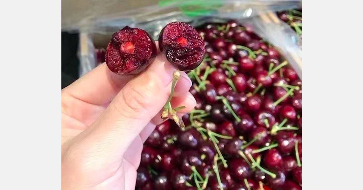 Chinese Spring Festival stimulates import of cherries