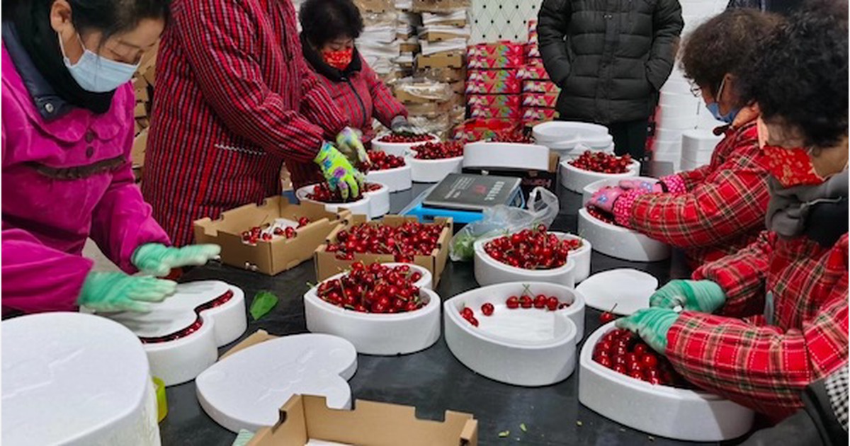 Chinese cherry industry is quickly catching up with imported cherries