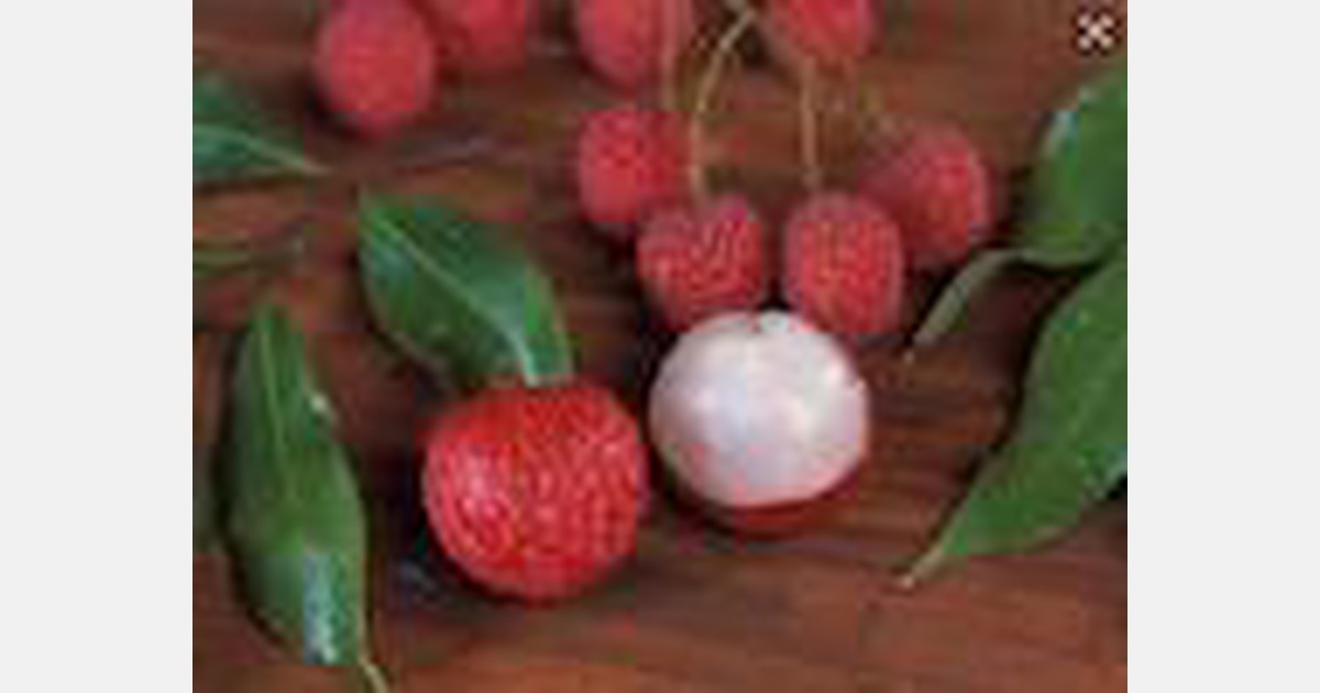 More than six thousand hectares of 'volcanic lychee' trees bloom in ...