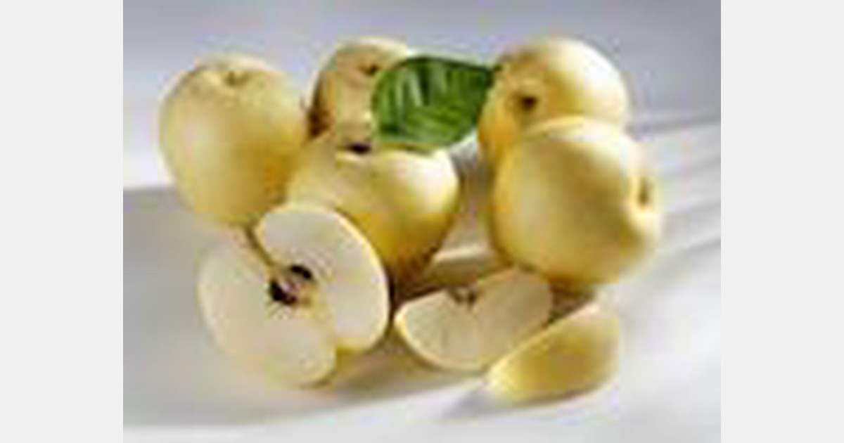 Chinese crown pears enter final stage of purchase season