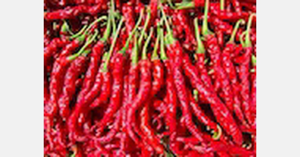 China: Indian pepper imports significantly lower than in the first half ...