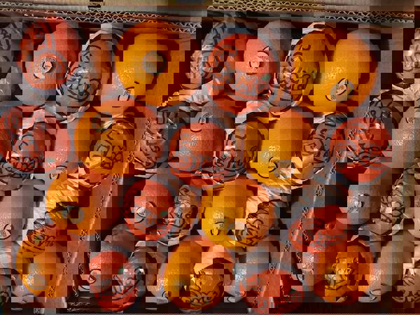 Egypt opens new export season of Valencia oranges