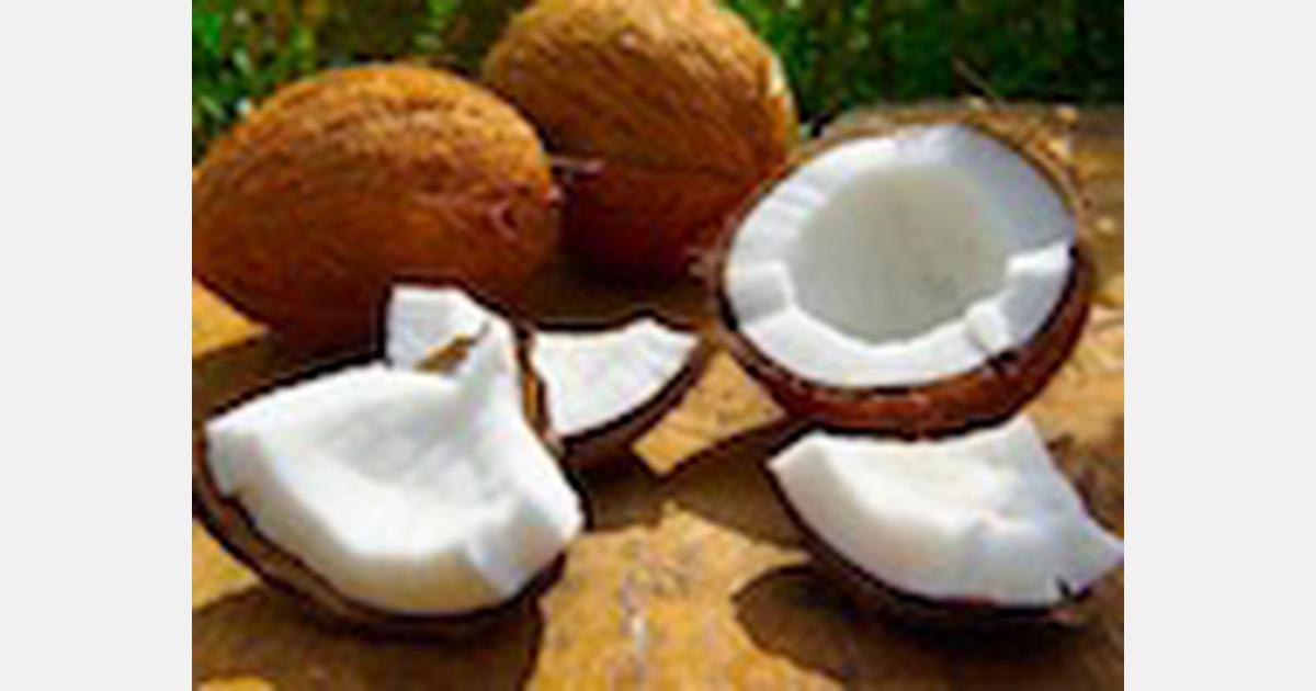 China's coconut imports in 2020 increased by 37.4% year-on-year