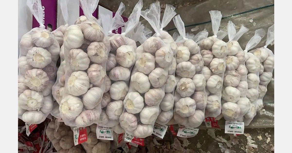 "Overseas market demand for Chinese garlic is growing, so we expect the ...