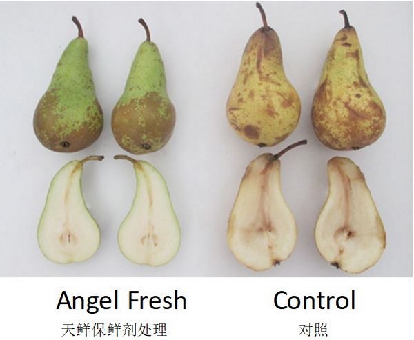identifying pear varieties